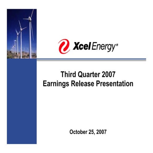 xcel energy Appendix | PDF