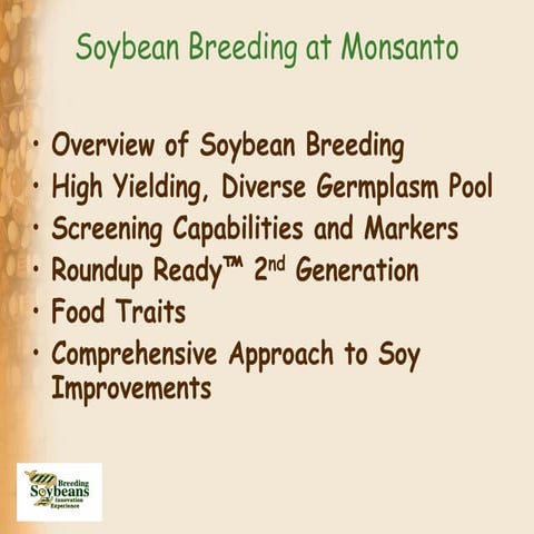 monsanto 08-23-05 | PPT