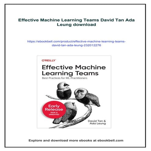 Effective Machine Learning Teams David Tan Ada Leung | PDF