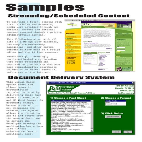 Content Management Brief | PDF | Desktop Publishing | Computer Software and Applications