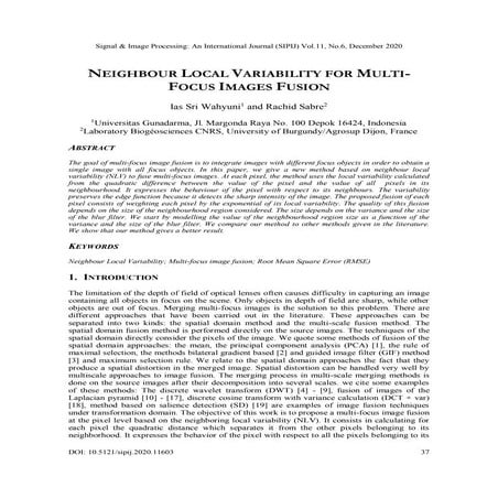 Neighbour Local Variability for Multi-Focus Images Fusion | PDF