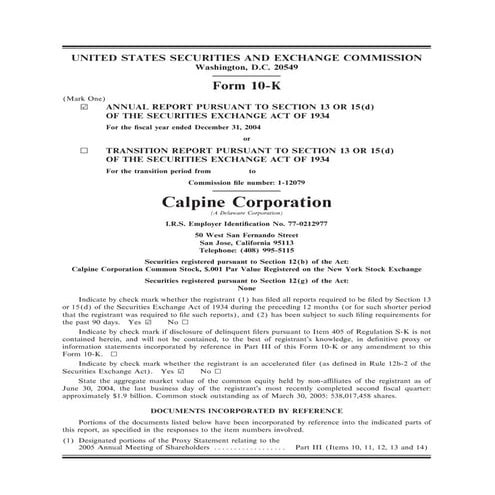 calpine 200410K | PDF