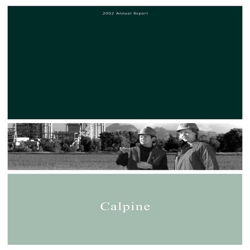 calpine _AR02_v_050503_02 | PDF