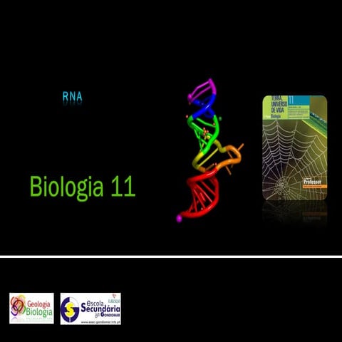 Biologia 11 estrutura do rna | PDF