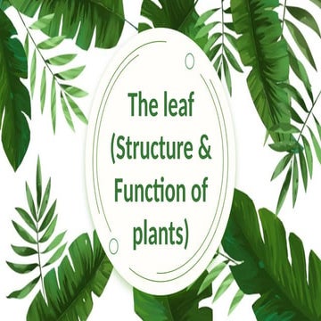 Leaf- it's type, function and modifications | PPTX