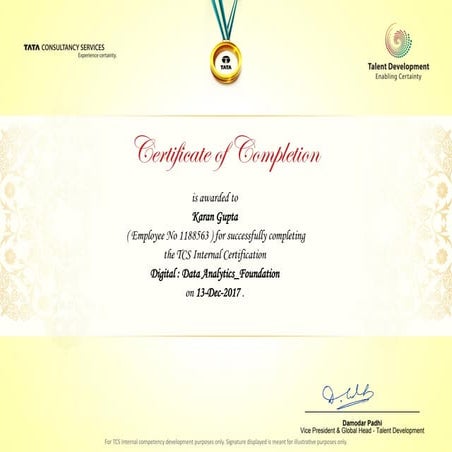 Data Analytics Foundation Certificate Pdf