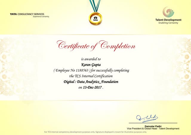 Data Analytics Foundation Certificate Pdf