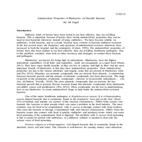 Research Paper_Undergrad | DOCX