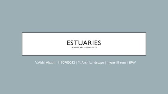 Marine food chain | PPTX | Food & Drink