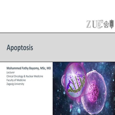 Apoptosis | PPT