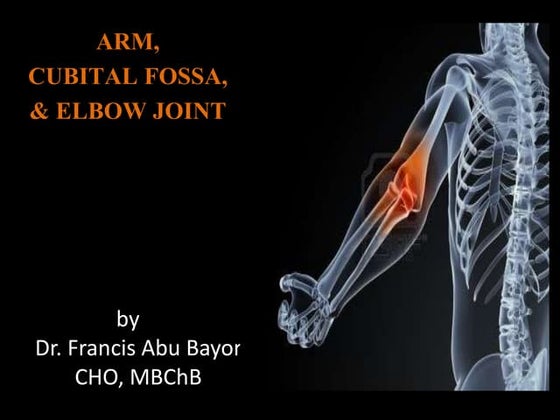 CUBITAL FOSSA Anatomy and it's clinical relevance | PPT