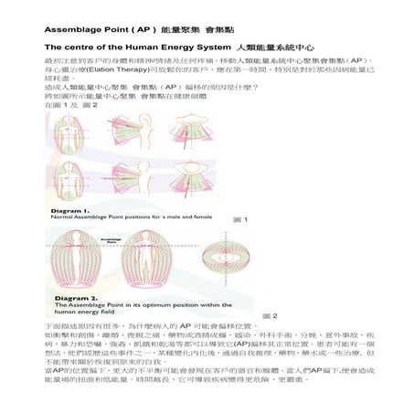 身心能量聚集會集點 Assemblage Point | PDF
