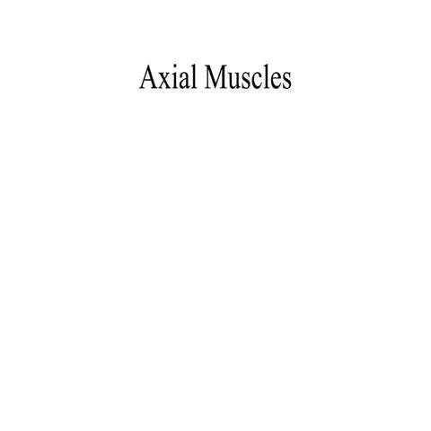 Axial Muscles | PPT