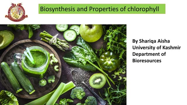 Chlorophyll | PPTX