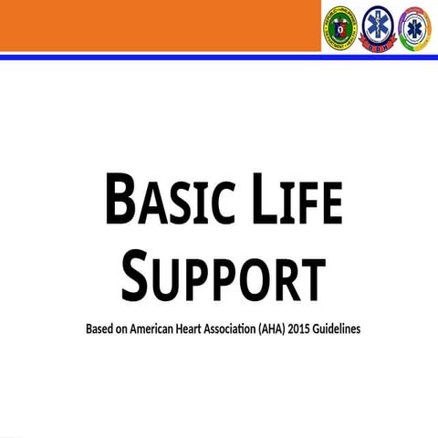 Basic Life Support for Healthcare Provider | PPTX