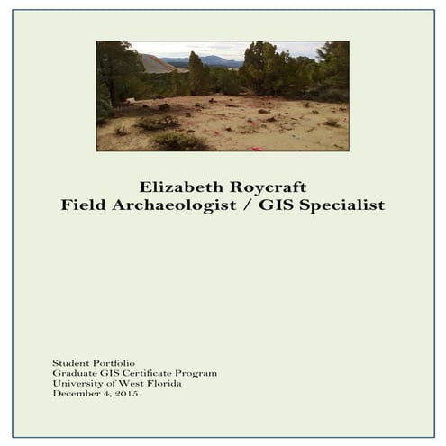 ERoycraft_GIS_portfolio | PDF