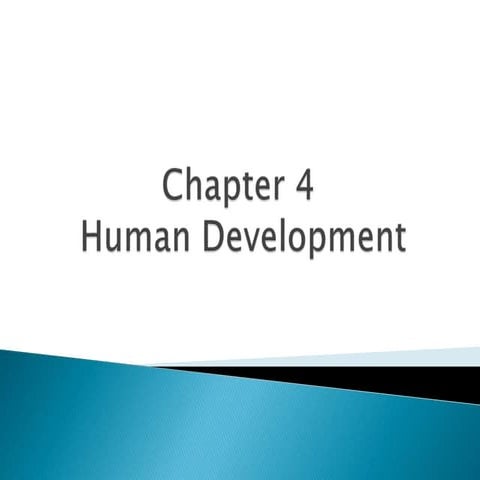 Psychology class 11_Chapter 4 - Development | PPTX