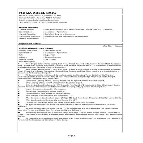 MIRZA ADEEL BAIG SGS CV RTF Format | RTF