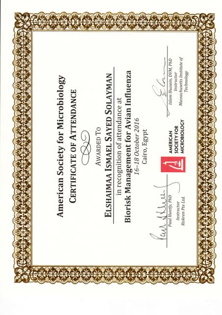 1st Degree Certificate | PDF