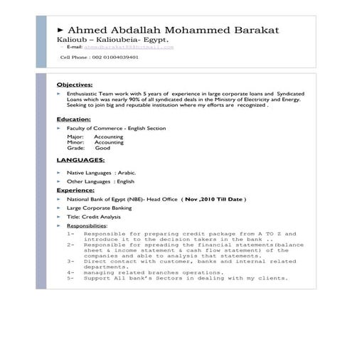 Ahmed barakat CV | DOC
