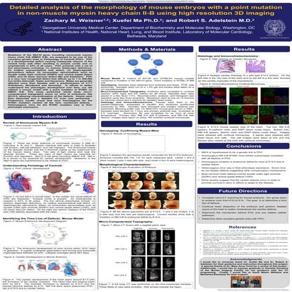 Biochemistry Poster | PDF