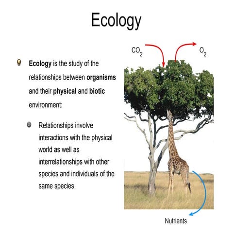 11 Ecology | PPT