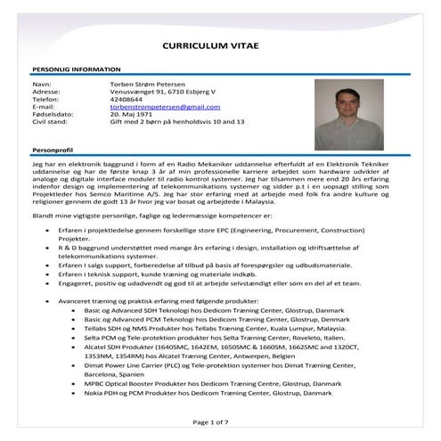CURRICULUM VITAE_2015_DK | PDF