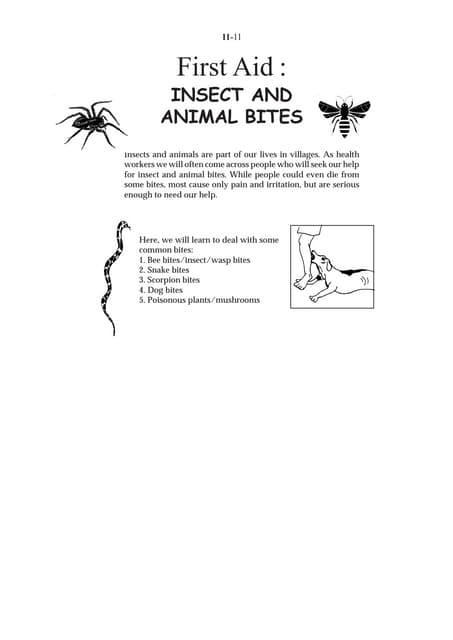 FIRST AID EMERGENCY IN DIFFERENT BITES AND STINGS.pptx