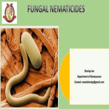 Behavioural analysis of nematode movement | PDF