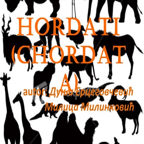 11 hordati,plastasi i kopljasi | PPT