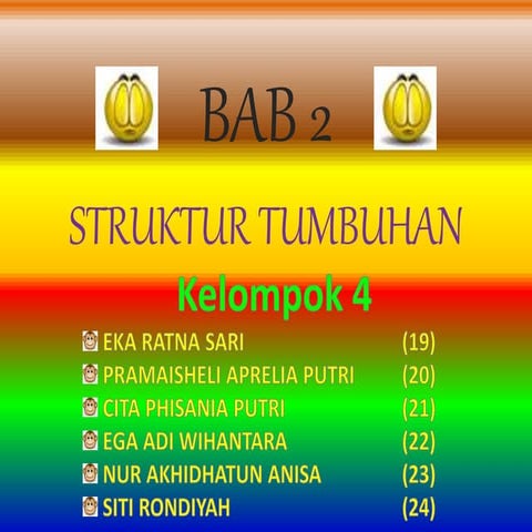 struktur tumbuhan 11 IPA 4 | PPT