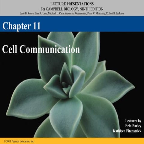 Ch 11: Cell Communication | PPT