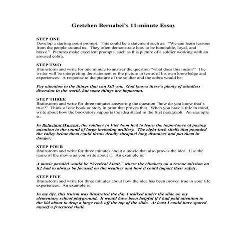 11 Minute Essay | DOC