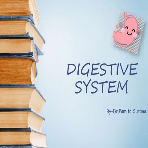 human digestive system ppt powerpoint presentation (19 slides) /In ...