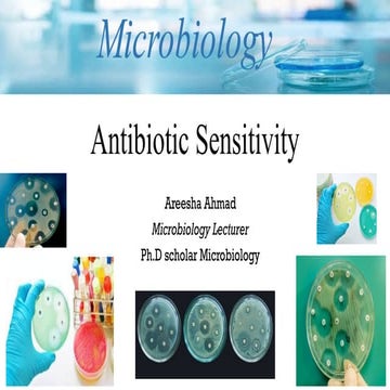Procedure of sensitivity - Microbiology for Lab Technicians | PPT