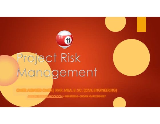 Templates and ExamplesTEMPLATE RISK MANAGEMENT PLAN FOR .docx