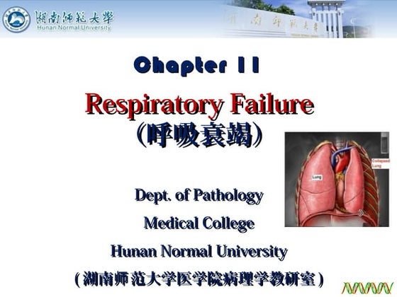 Obstructive vs. Restrictive Lung disease | PPTX | Lung and Respiratory ...