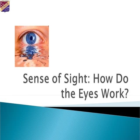 Sense Of Sight | PPT