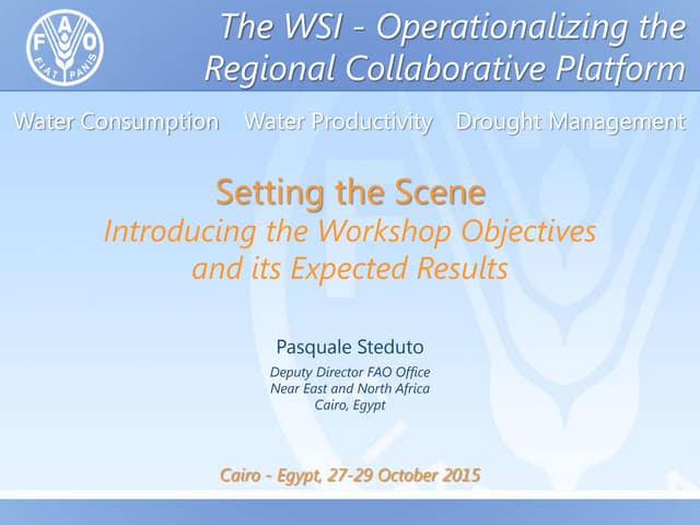 Setting The Scene | PPT