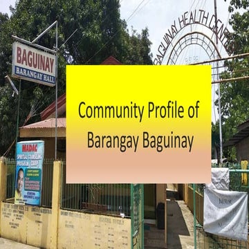 Community profile of_barangay_baguinay | PPTX