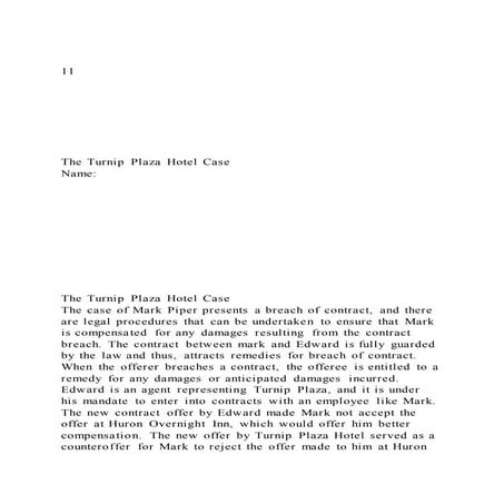 11The Turnip Plaza Hotel CaseName | DOCX