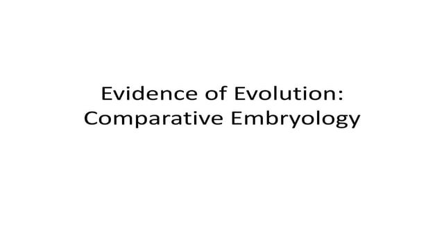 Comparative Embryology Biology Definition