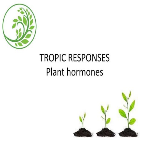 Tropic responses | PPTX