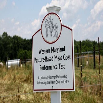11 Years of WMD Buck Test | PPT