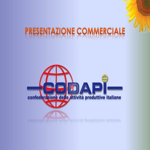 12.05.10 presentazione codapi | PPT