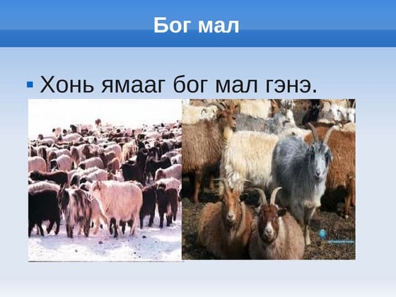 шалгалтын график | ODP