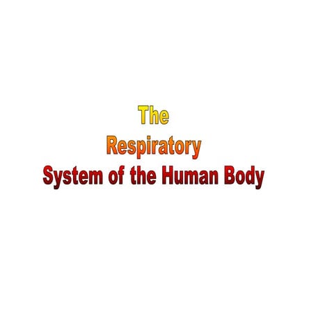 12. respiratory system copy | PPT