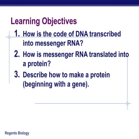 DNA, RNA, and Proteins | PPT | Programming Languages | Computing