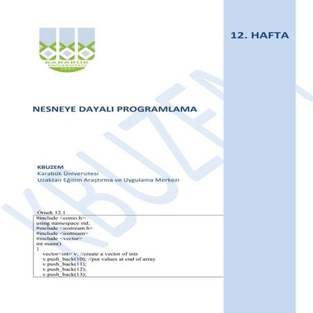 12. stl örnekler | DOC | Programming Languages | Computing