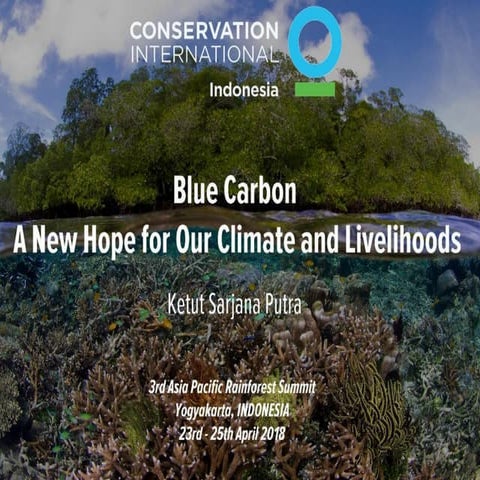 Blue carbon – A new hope for our climate and livelihoods | PDF